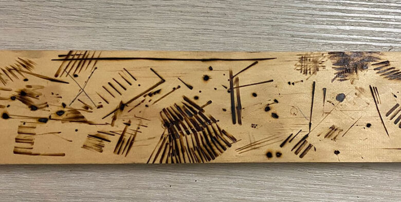 How to Wood Burn: A Step-by-Step Guide for Beginners
