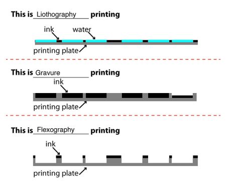Difference Between Lithograph and Print: Unveiling Art's Secrets